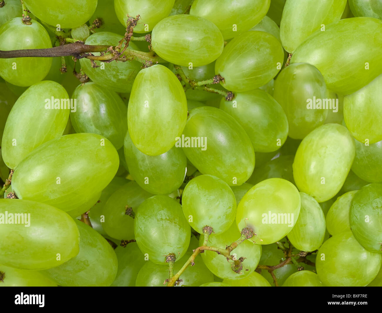 fresh green grapes , for backgrounds Stock Photo - Alamy