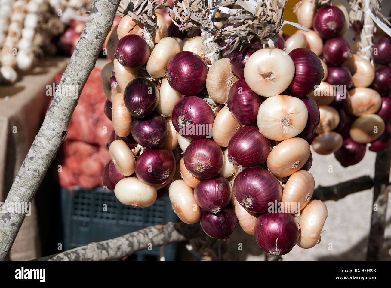 Market plait of onions hung to dry Stock Photo - Alamy