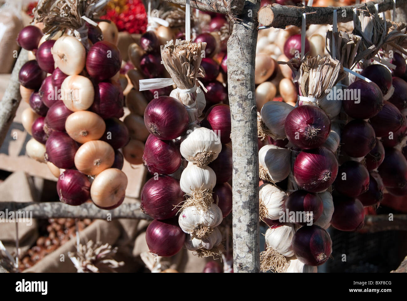 Hanging onions hi-res stock photography and images - Alamy