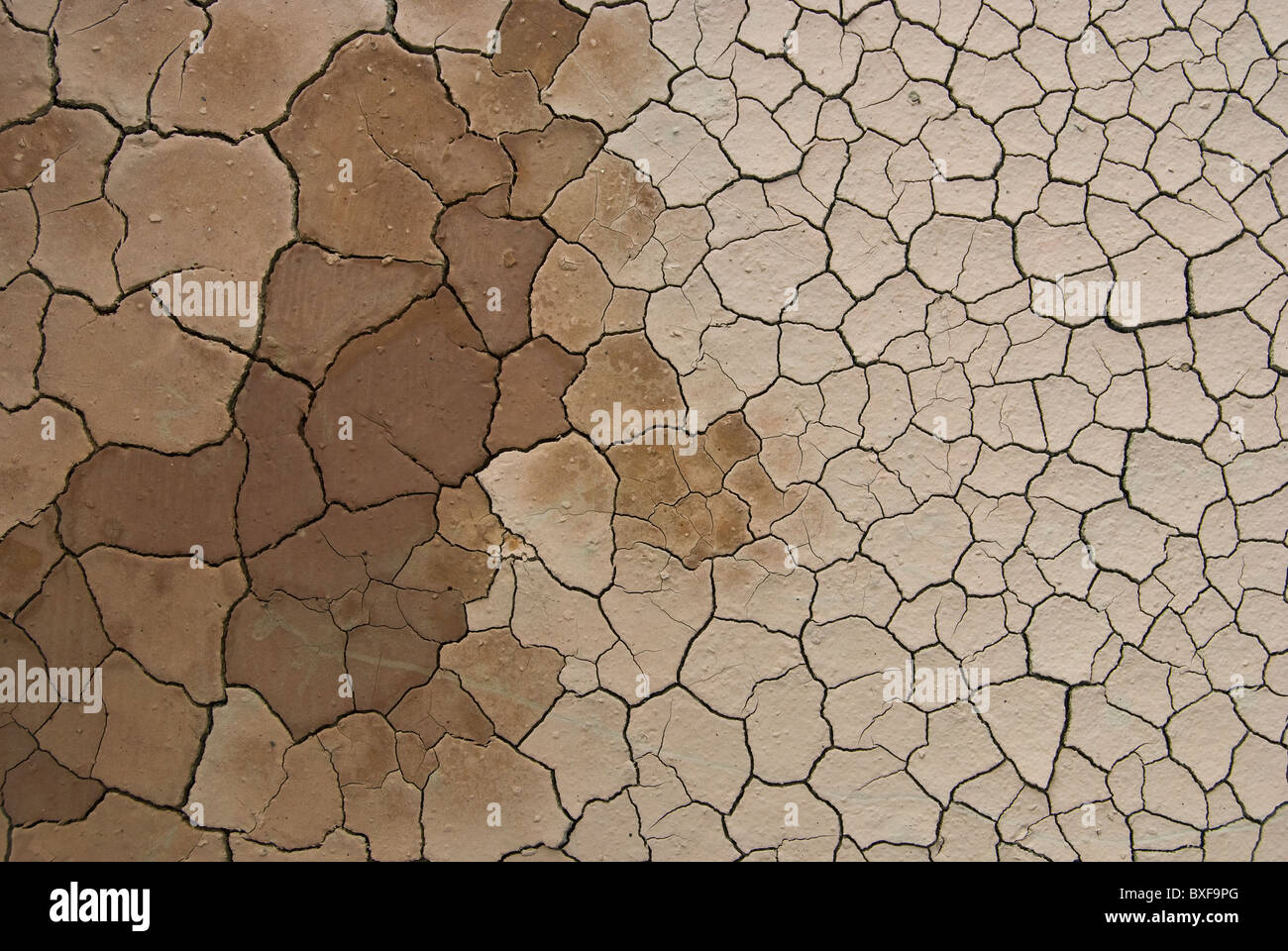 Sludge drying hi-res stock photography and images - Alamy