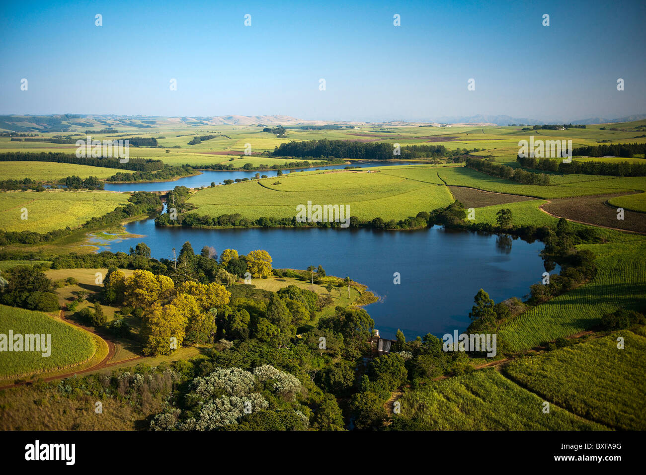 Aerial view of KwaZulu Natal showing commercial sugar cane farms. Near ...