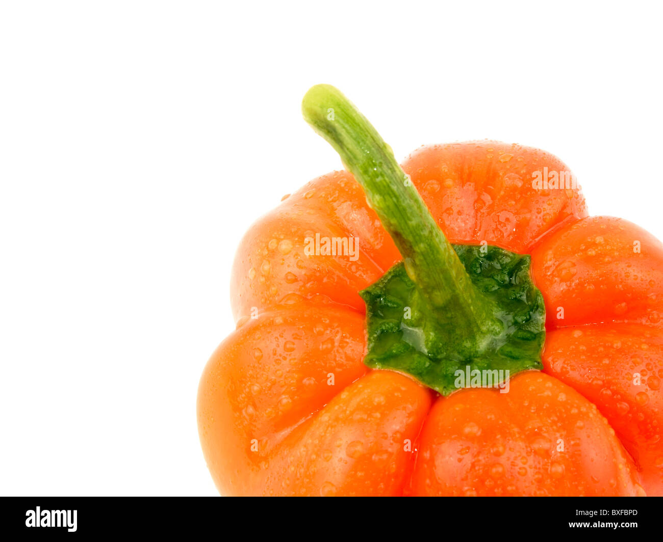 Closeup picture of fresh paprika on white background Stock Photo - Alamy