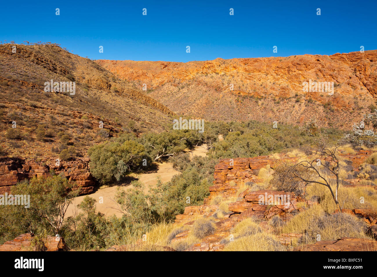 Dry creek bed through Trephina Gorge in the East MacDonnell Ranges ...