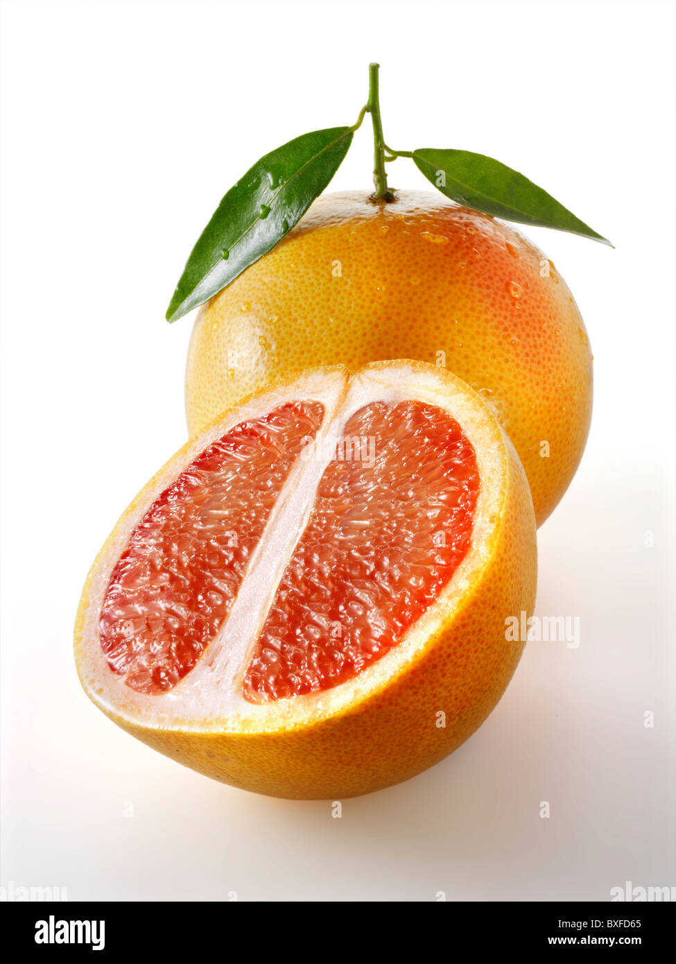 Pink Grapefruit