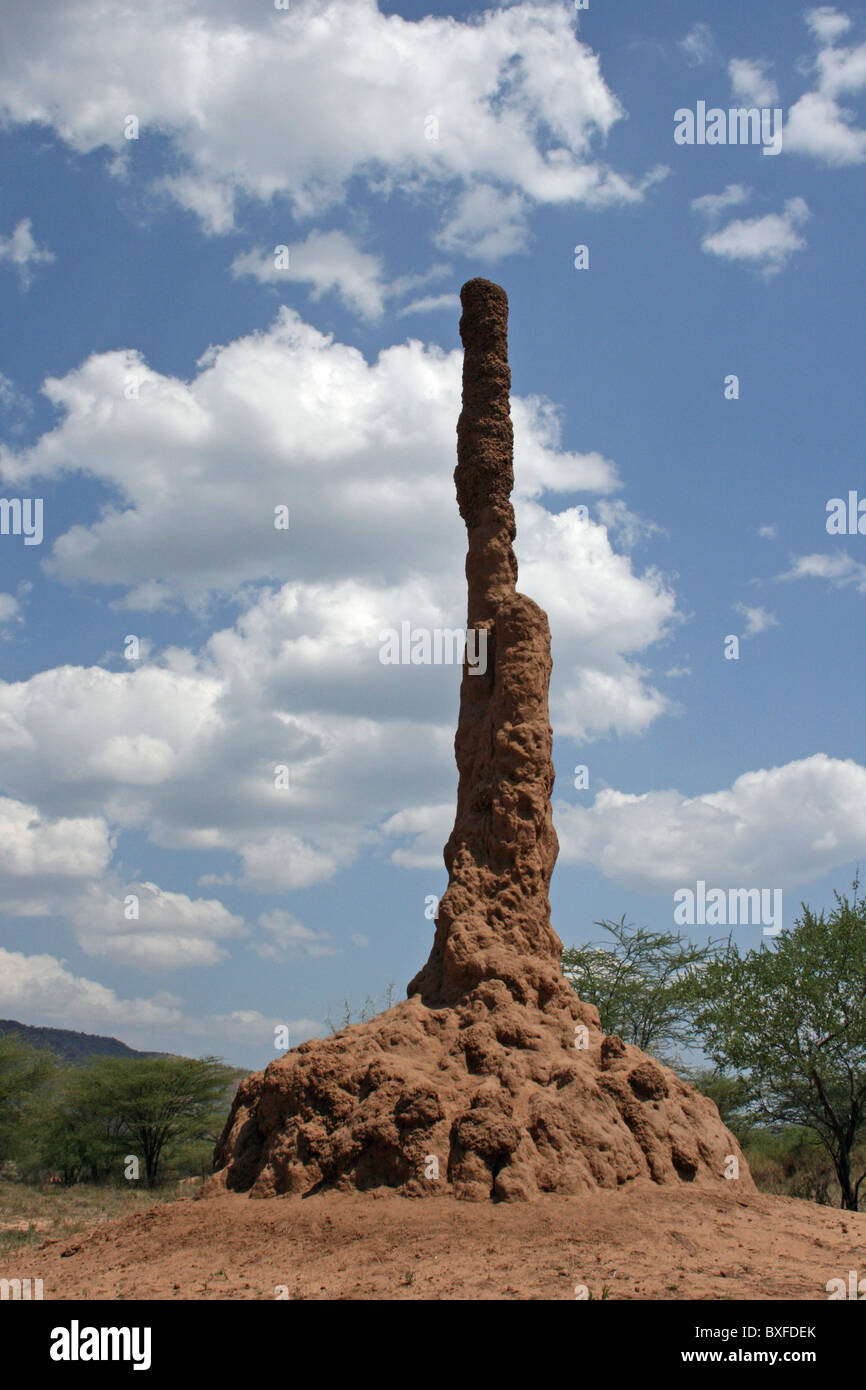 Tall Termite Mound In Arid Bushland Scenery, Omo Valley, Ethiopia Stock ...