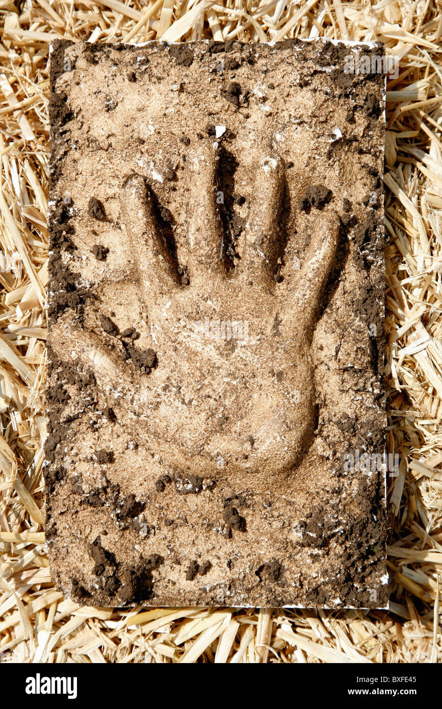 Prints in mud blocks Stock Photo - Alamy
