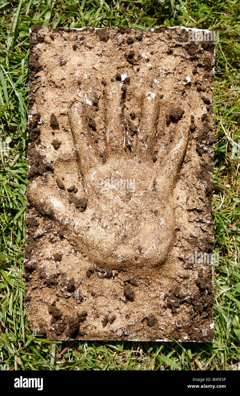 Prints in mud blocks Stock Photo - Alamy