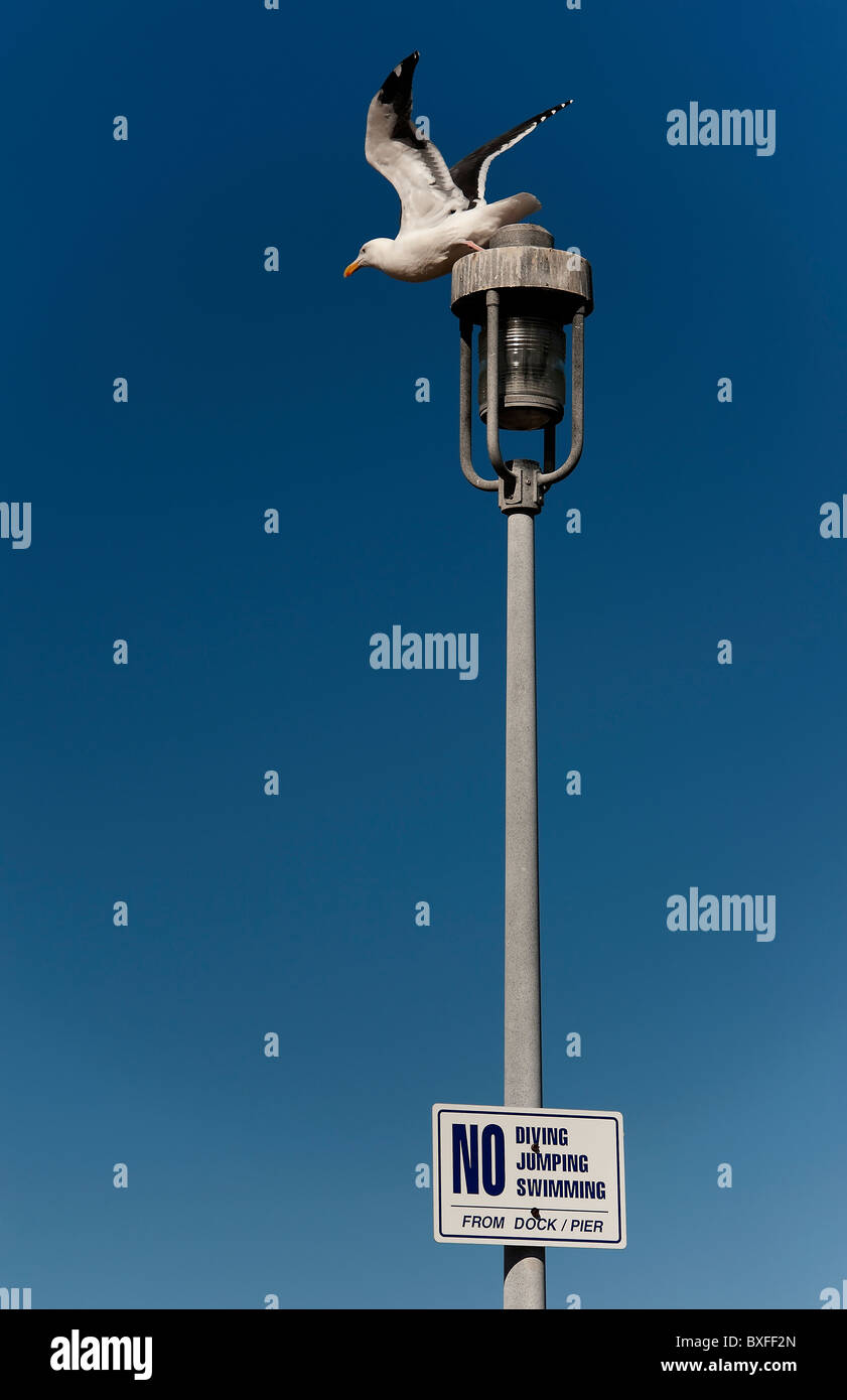 Misdemeanor hi-res stock photography and images - Alamy