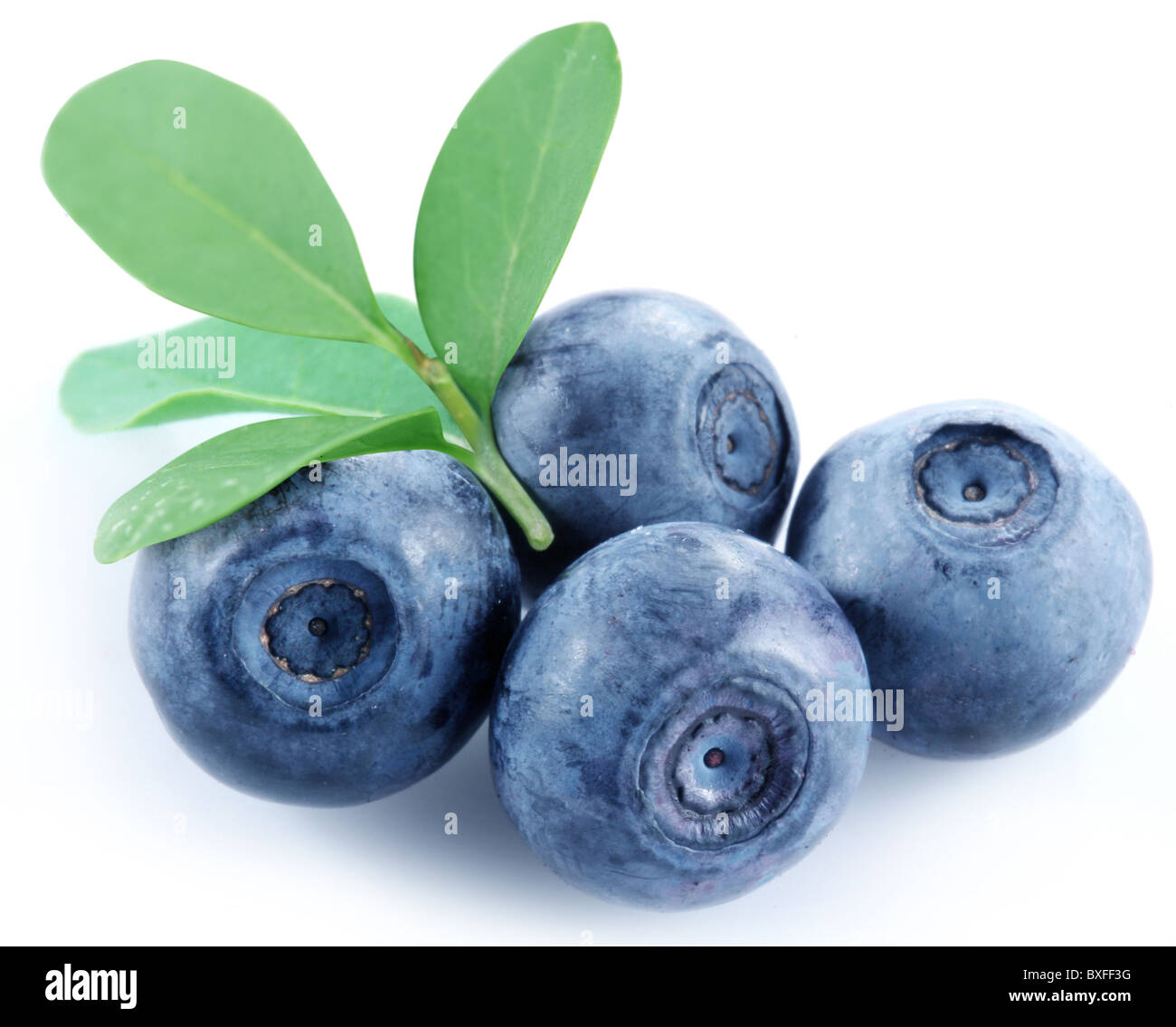 Four blueberries hi-res stock photography and images - Alamy