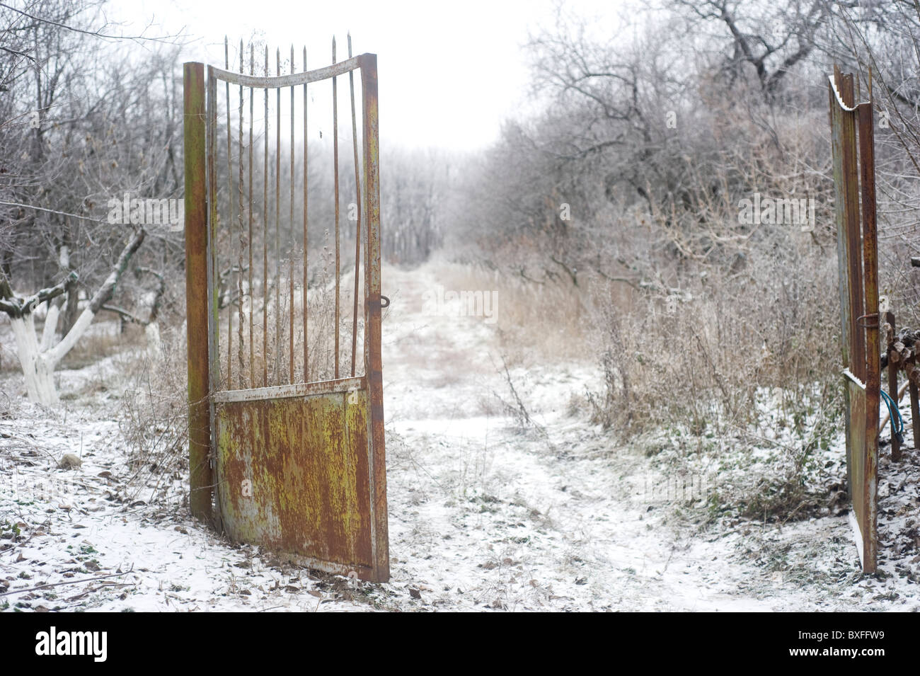 Old rusty gate in winter park Stock Photo - Alamy