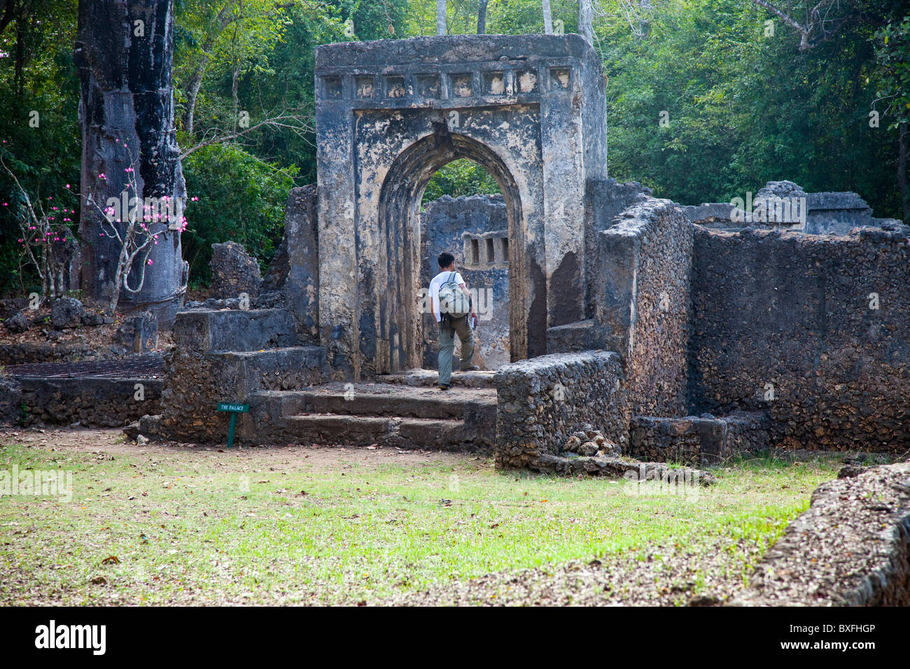 Ruins of Gedi or Gede, historic Swahili town, Watamu, Kenya Stock Photo ...