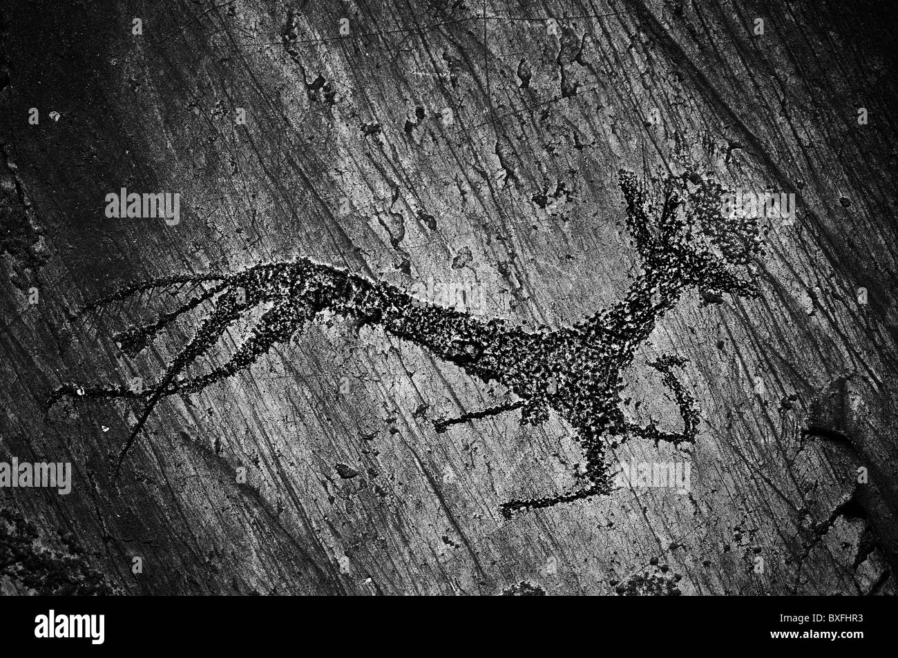Rock engraving hi-res stock photography and images - Alamy