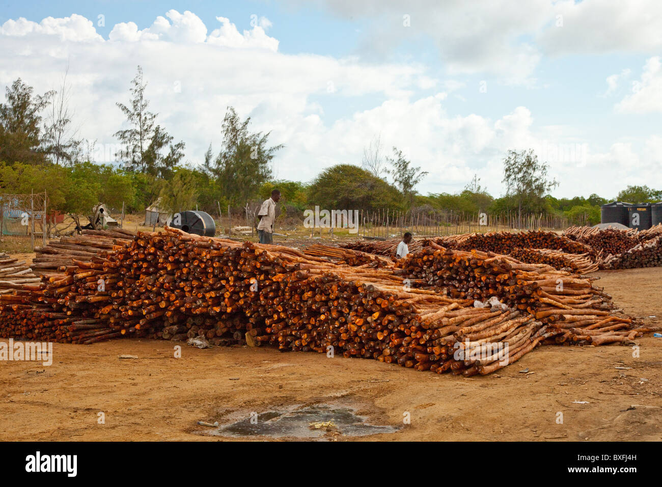 Timber lumber africa hi-res stock photography and images - Alamy