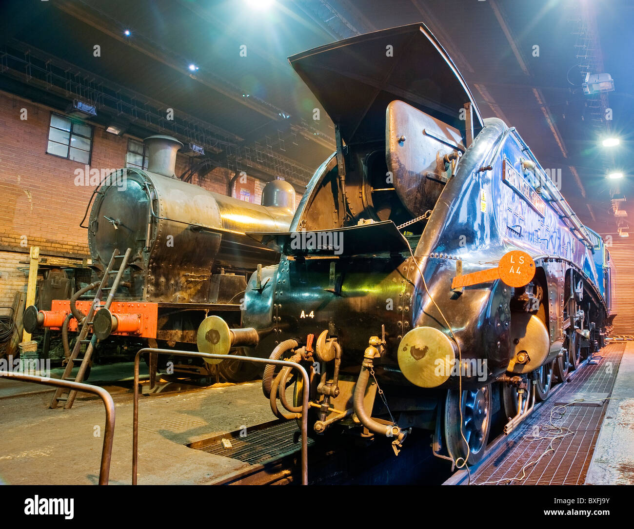 The locomotive Sir Nigel Gresley receiving attention in the engine shed ...