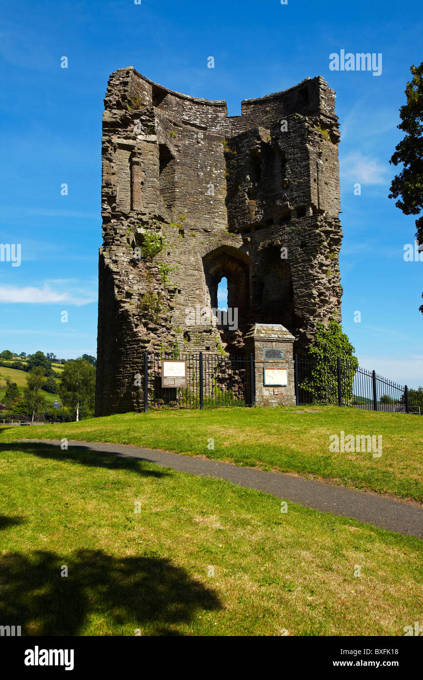 Crickhowell Castle, Crickhowell, Brecon Beacons, Wales, UK Stock Photo ...