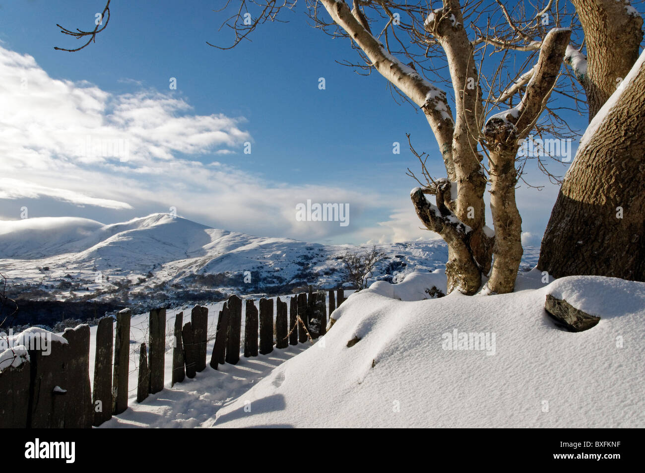 A winter scene in North Wales Stock Photo - Alamy