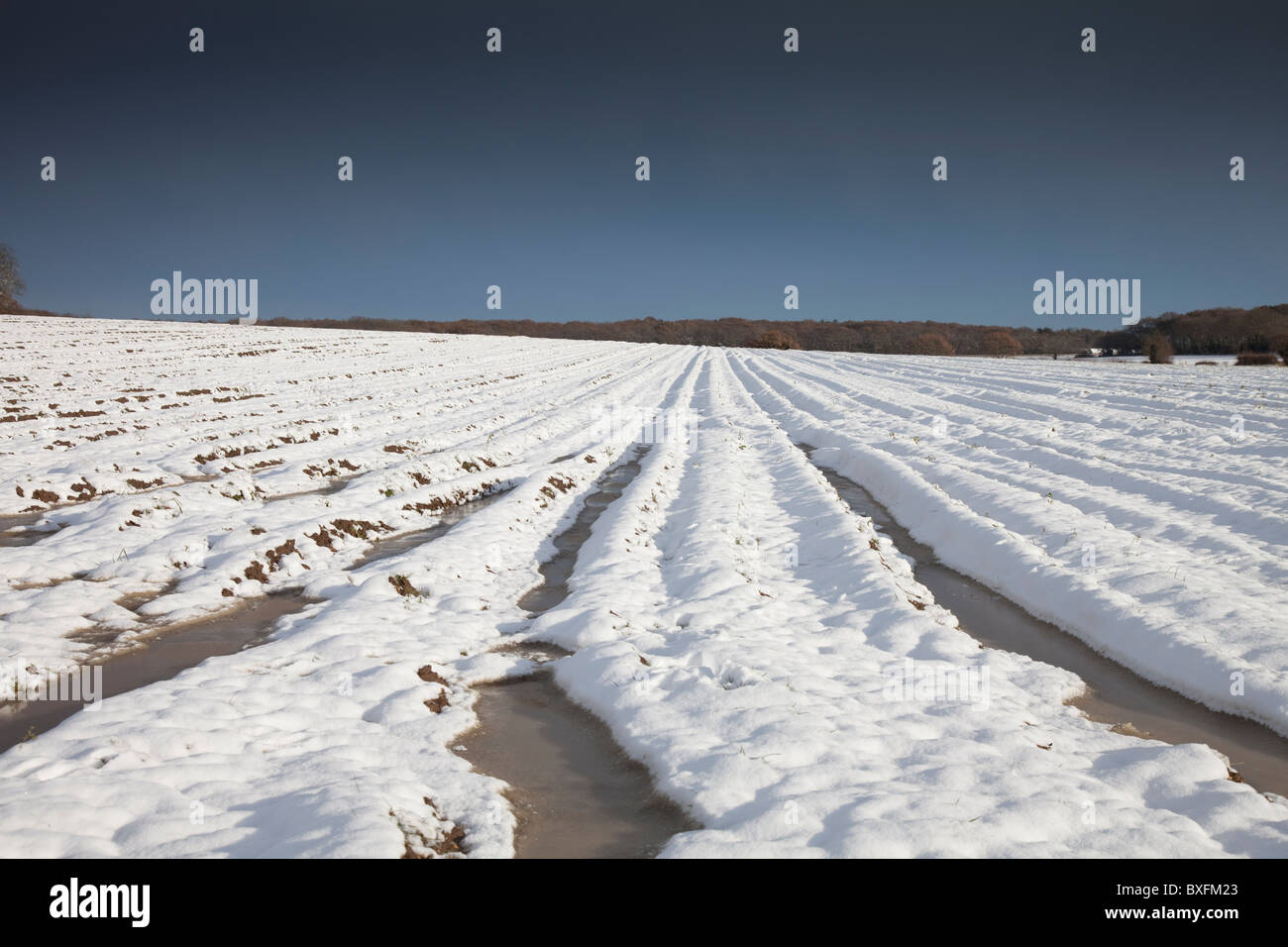 Suffolk farming scene hi-res stock photography and images - Alamy