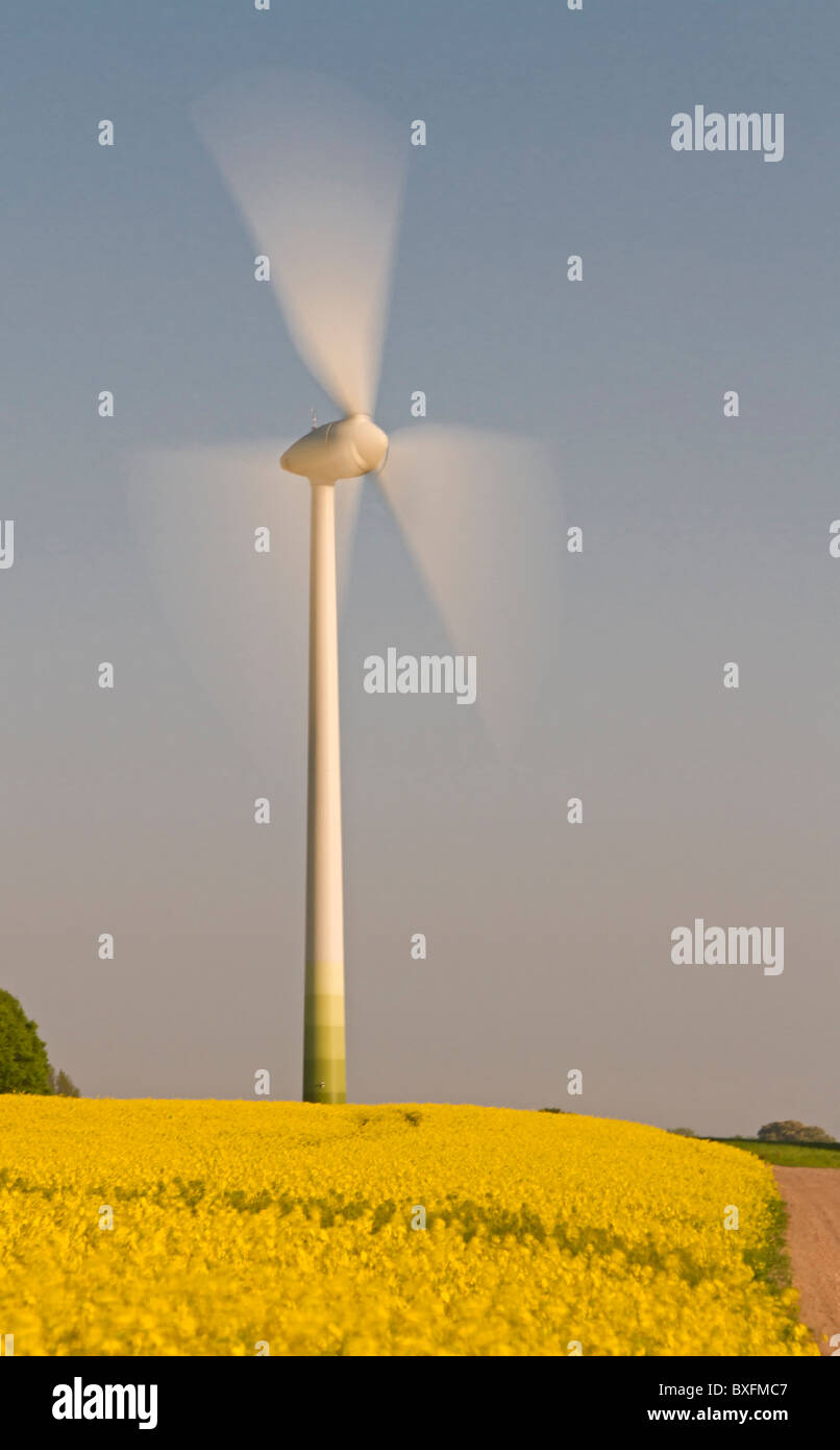 Rotational wind turbine with a rape field Stock Photo - Alamy
