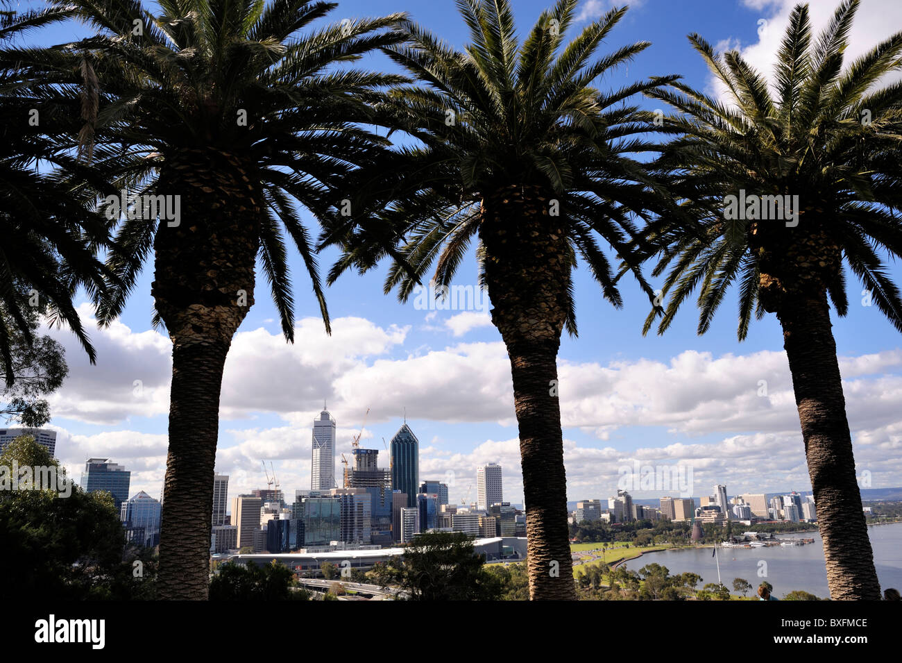 Perth skyline, viewed from King's Park. Western Australia Stock Photo ...