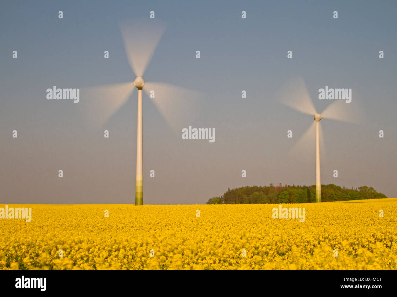 Rotational wind turbines with a rape field Stock Photo - Alamy