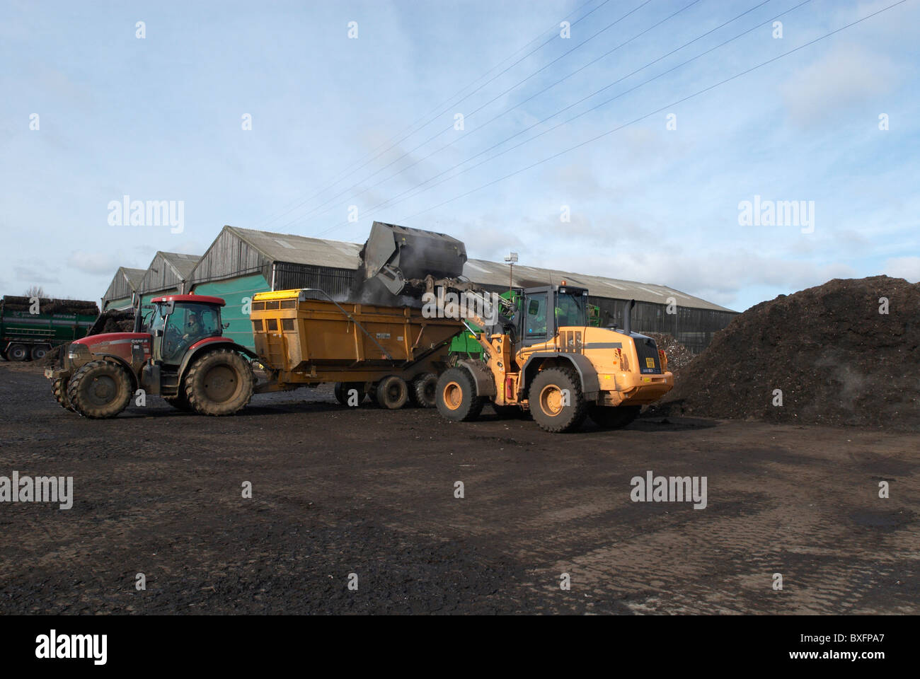 Front loader loading compost onto tractor Stock Photo - Alamy