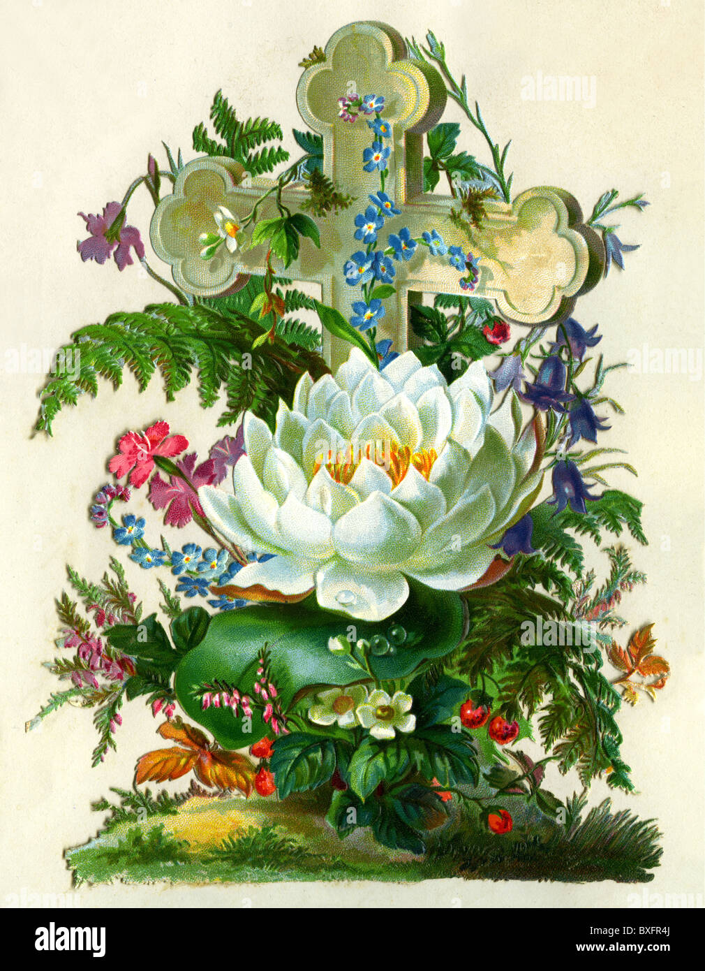 19th century headstones hi-res stock photography and images - Alamy