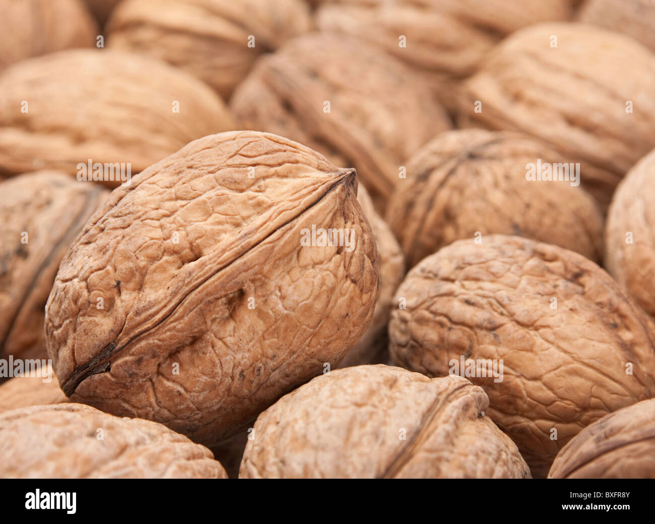 Walnut shadow hi-res stock photography and images - Alamy
