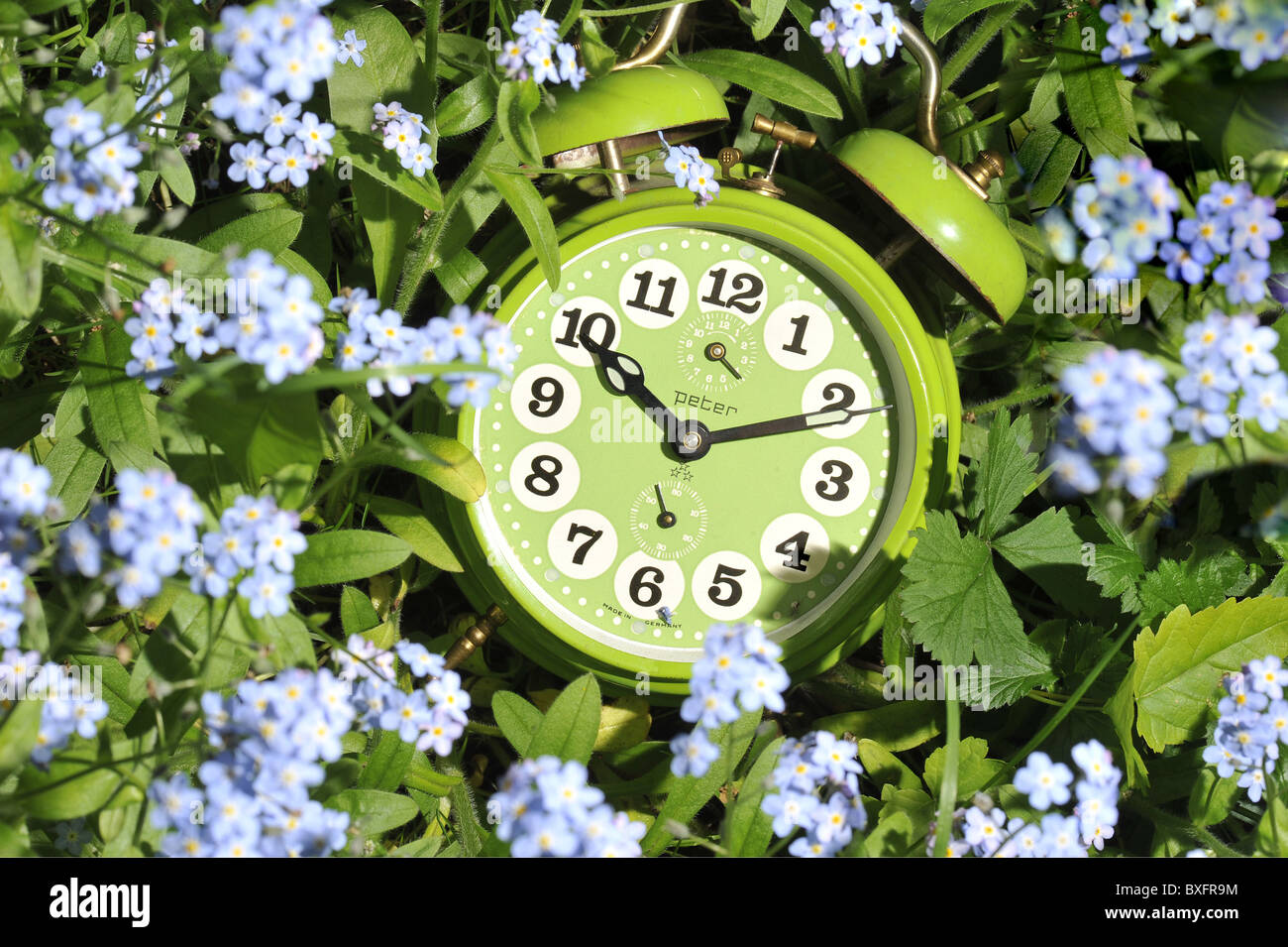 Green grass clock sleeping hi-res stock photography and images - Alamy