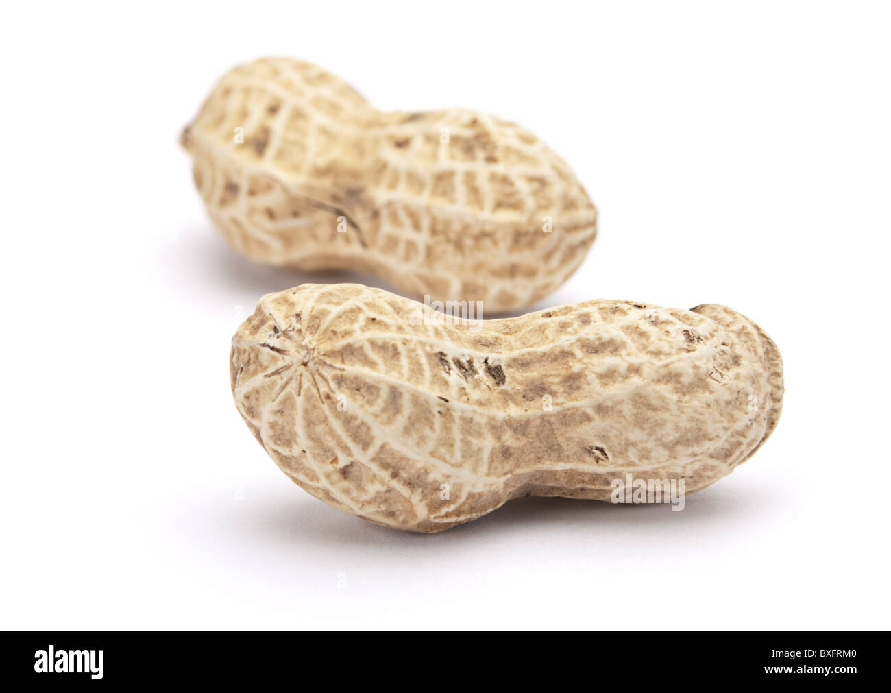 Peanut in shell Stock Photo - Alamy
