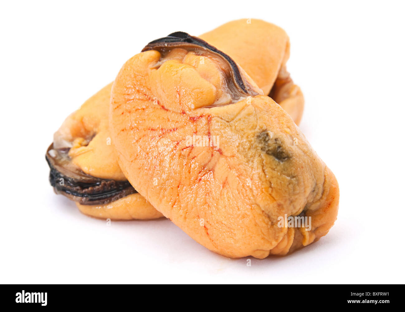 Boiled yellow mussel Stock Photo - Alamy