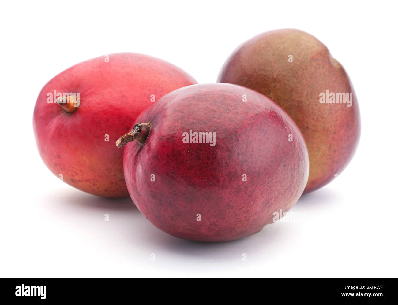 Tropical fruit mango Stock Photo - Alamy