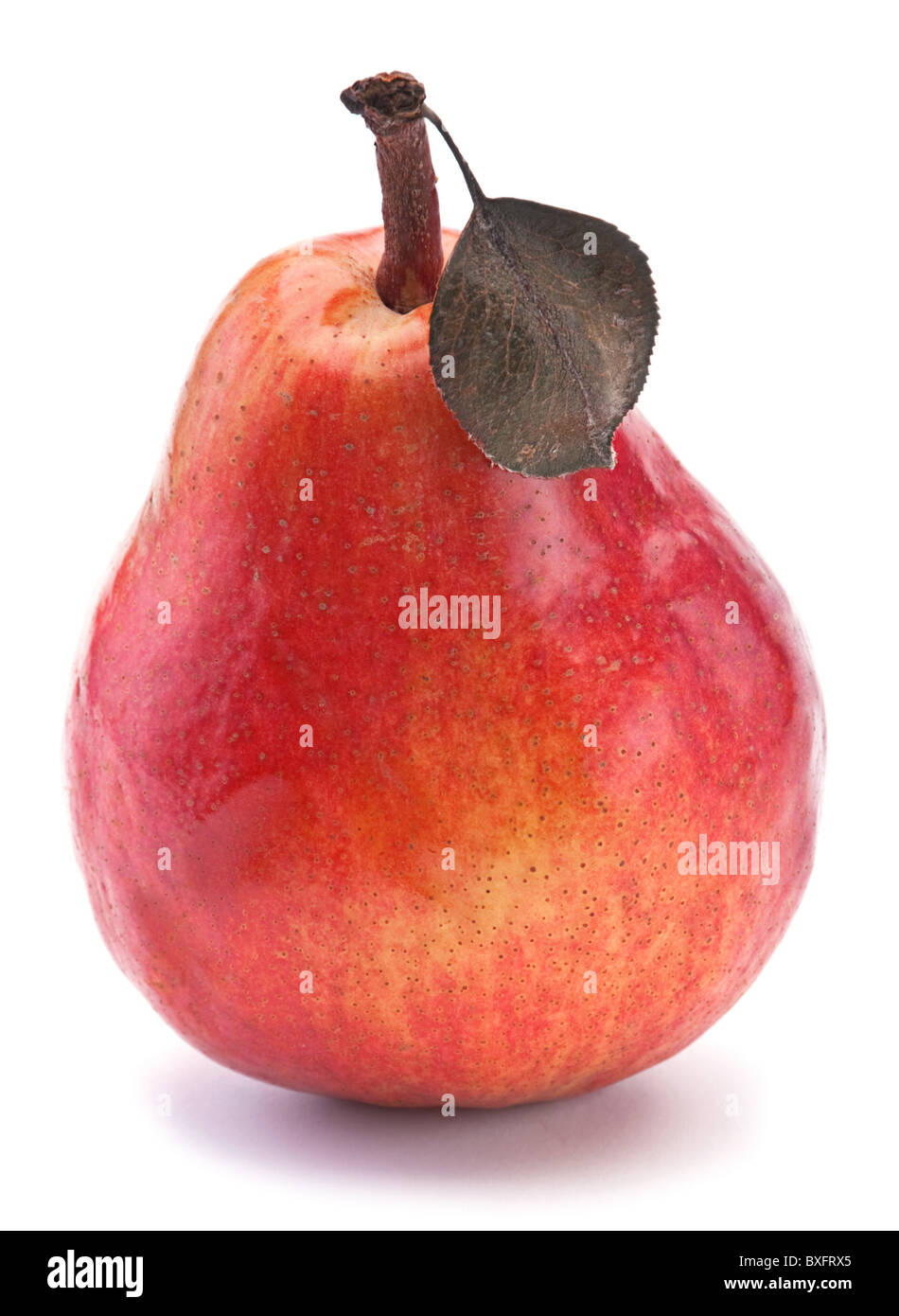 Red pear fruit hi-res stock photography and images - Alamy