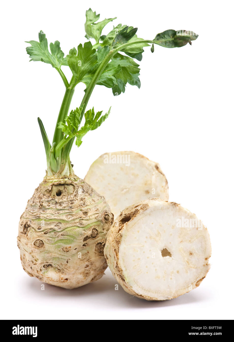 Fresh celery with root Stock Photo - Alamy