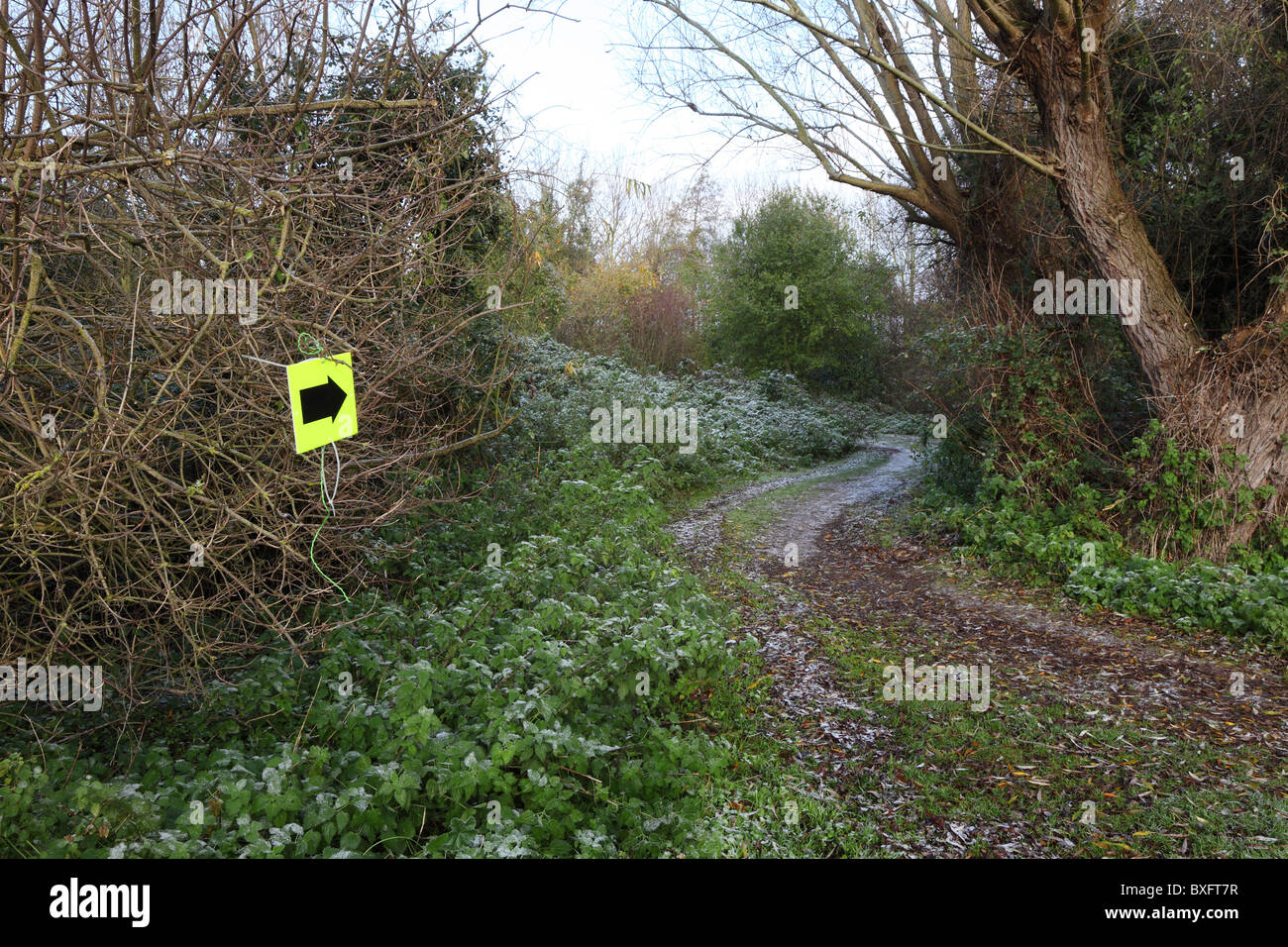 Direction marker for fun run Stock Photo - Alamy