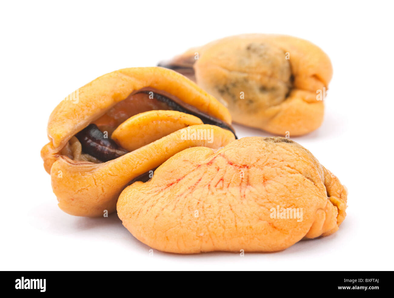 Boiled yellow mussel Stock Photo - Alamy