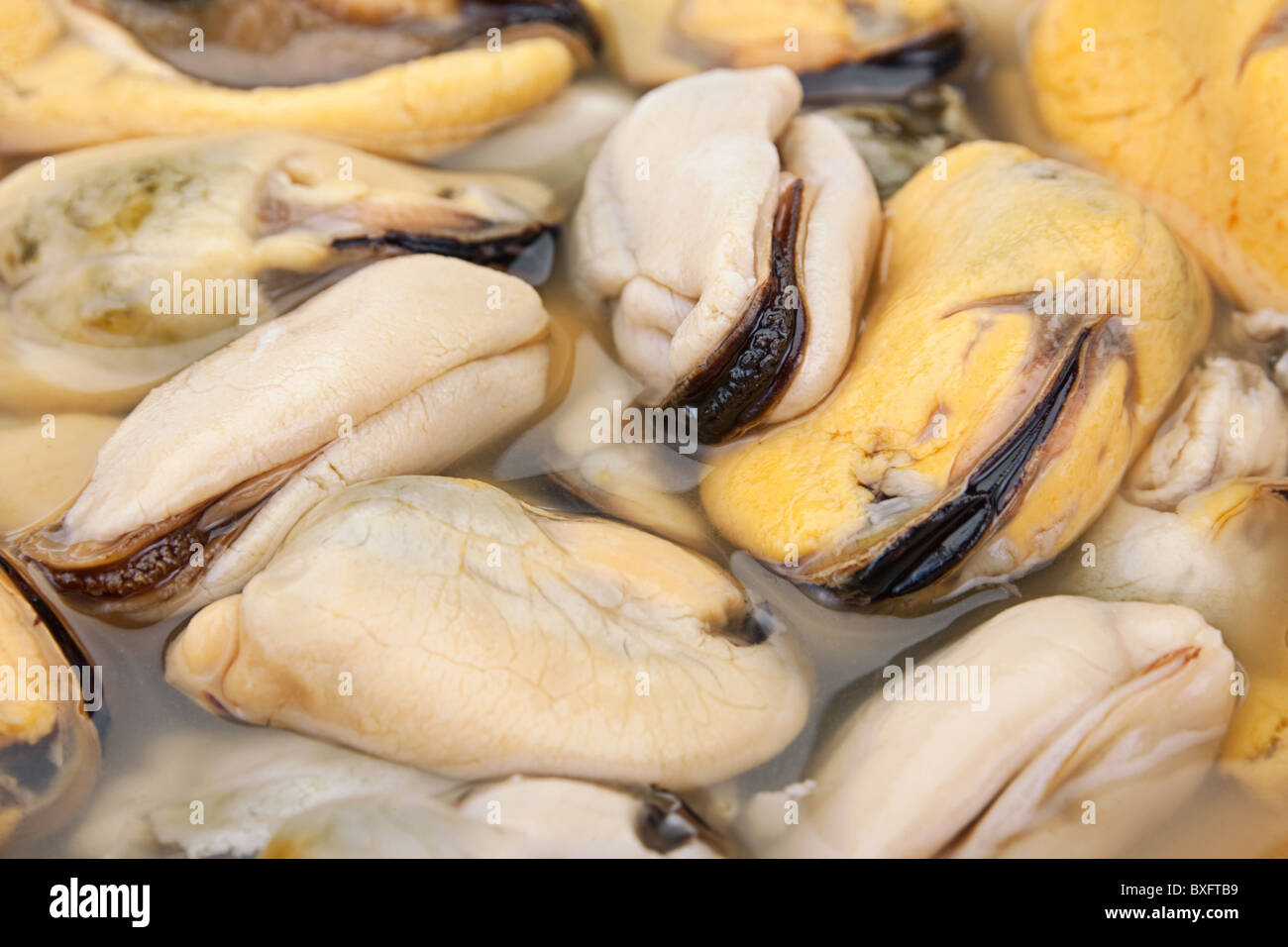 Boiled yellow mussel Stock Photo - Alamy