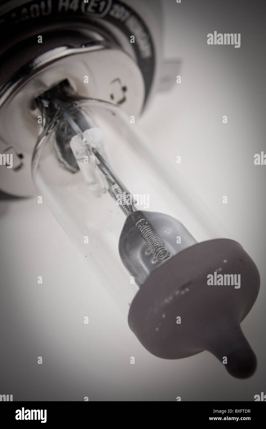 car halogen light bulb Stock Photo - Alamy