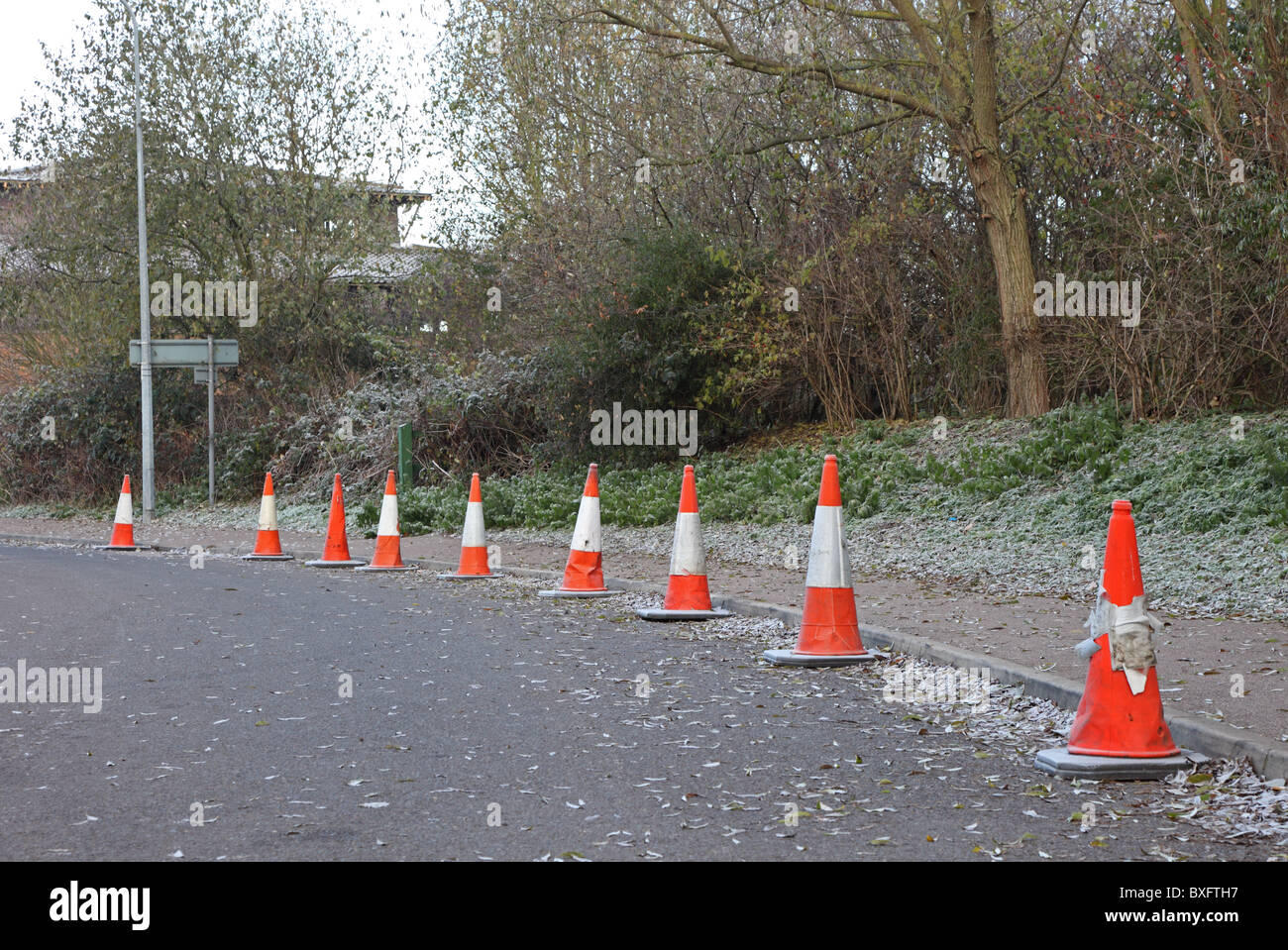 Line of traffic cones Stock Photo - Alamy