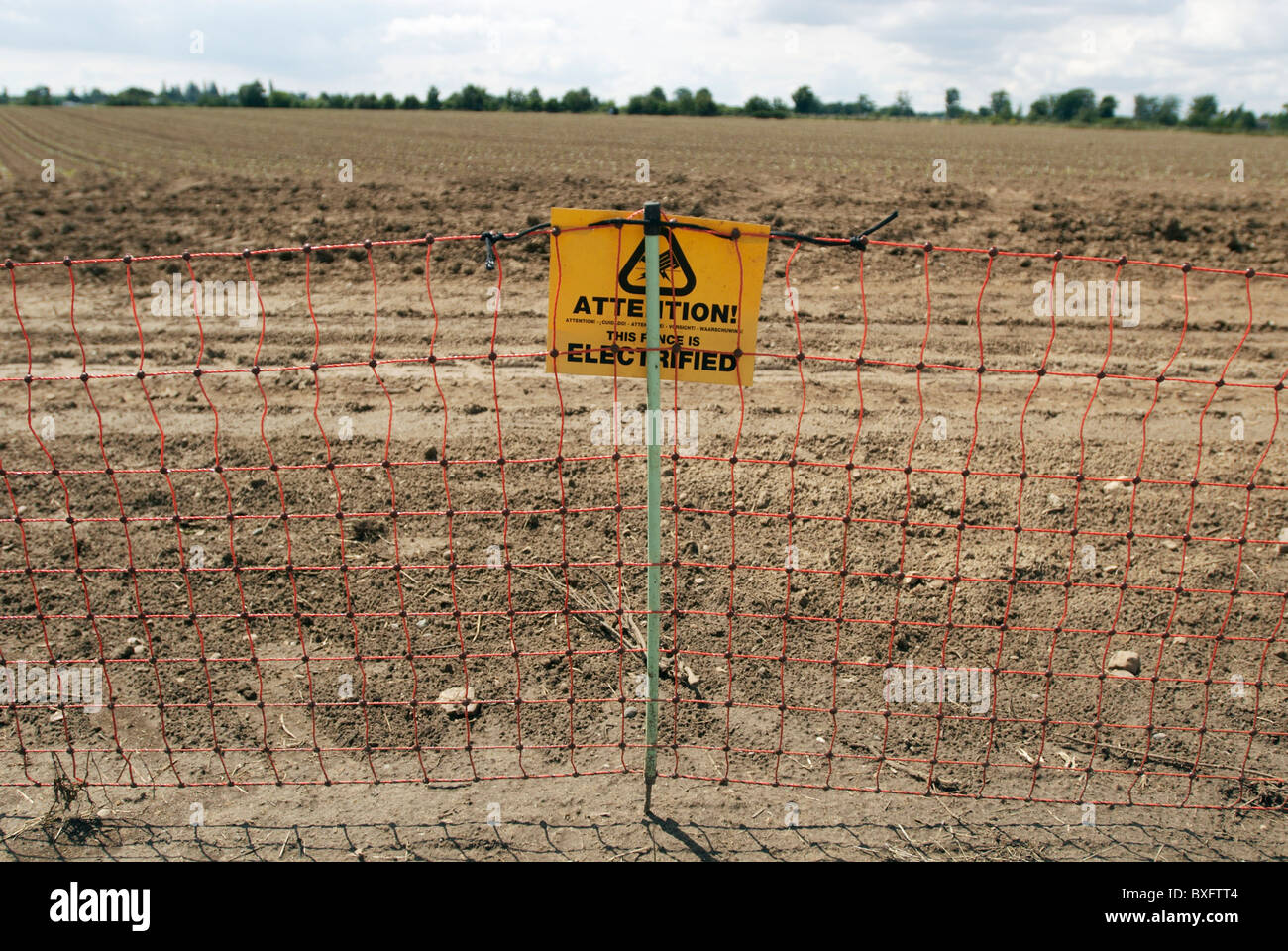 Electrified fence fencing hi-res stock photography and images - Alamy