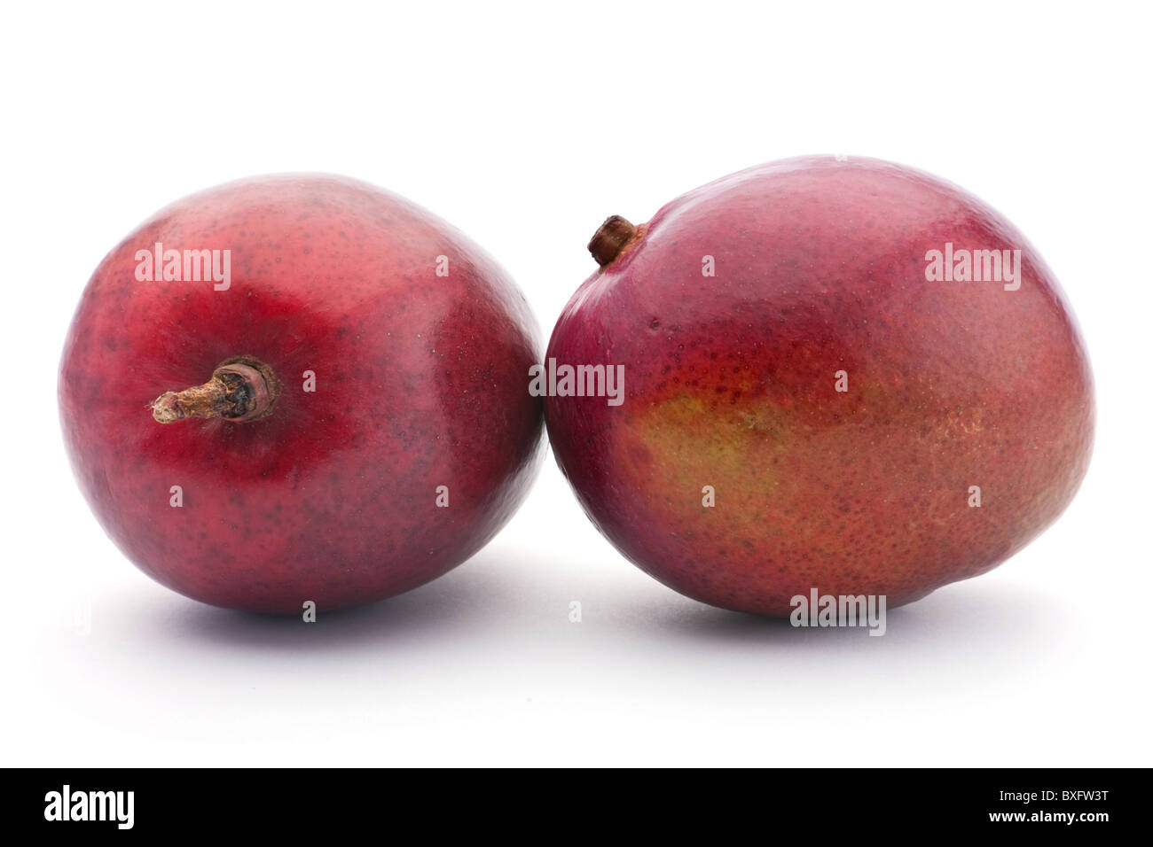 Tropical fruit mango Stock Photo - Alamy