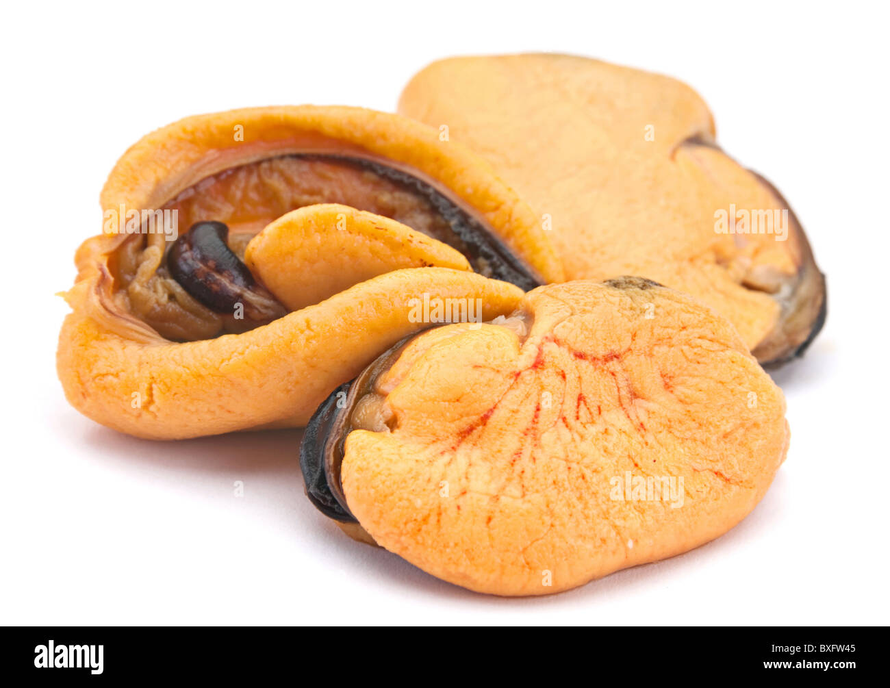 Boiled yellow mussel Stock Photo - Alamy
