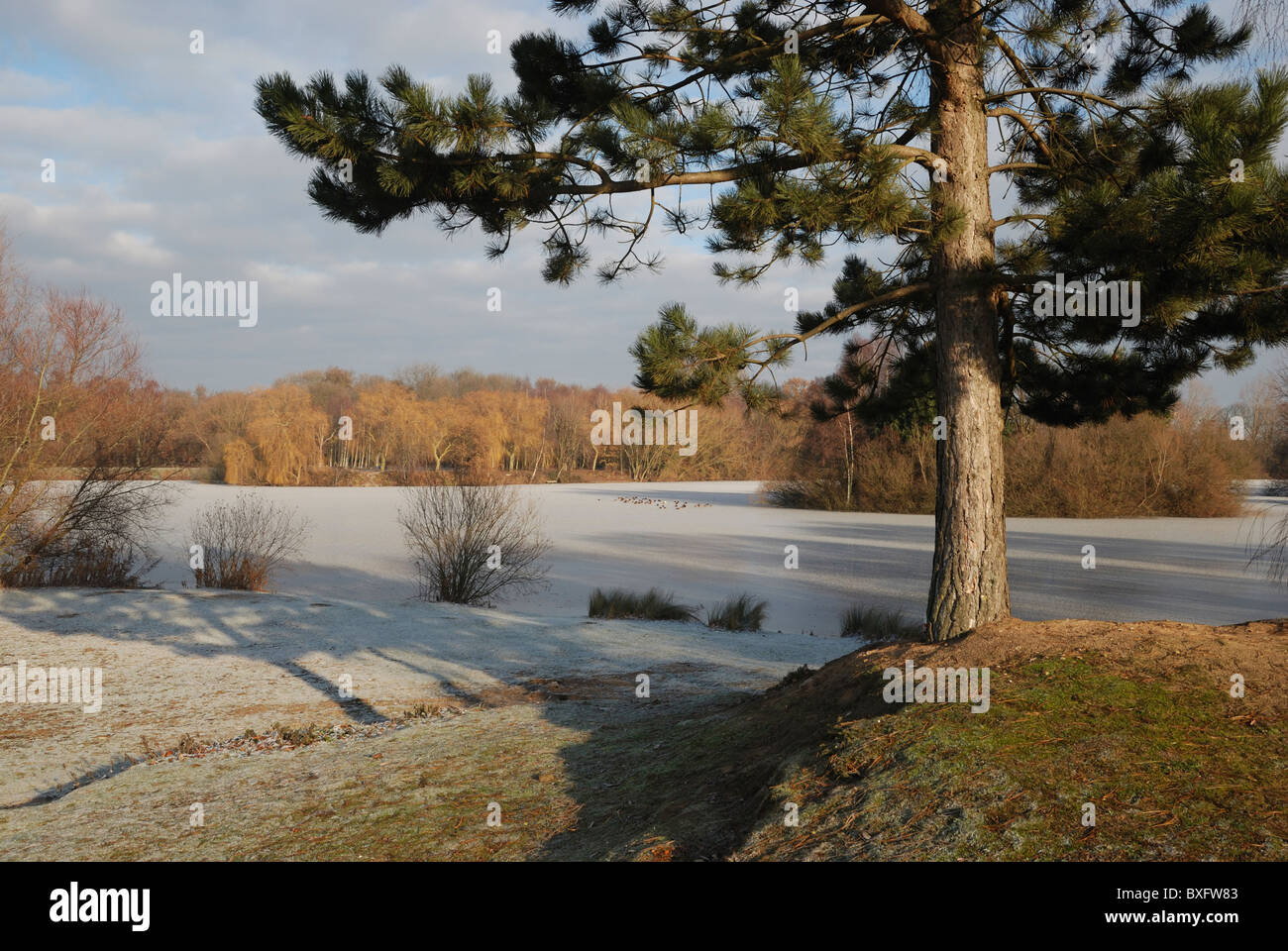 A frozen lake. Lincolnshire, England Stock Photo - Alamy