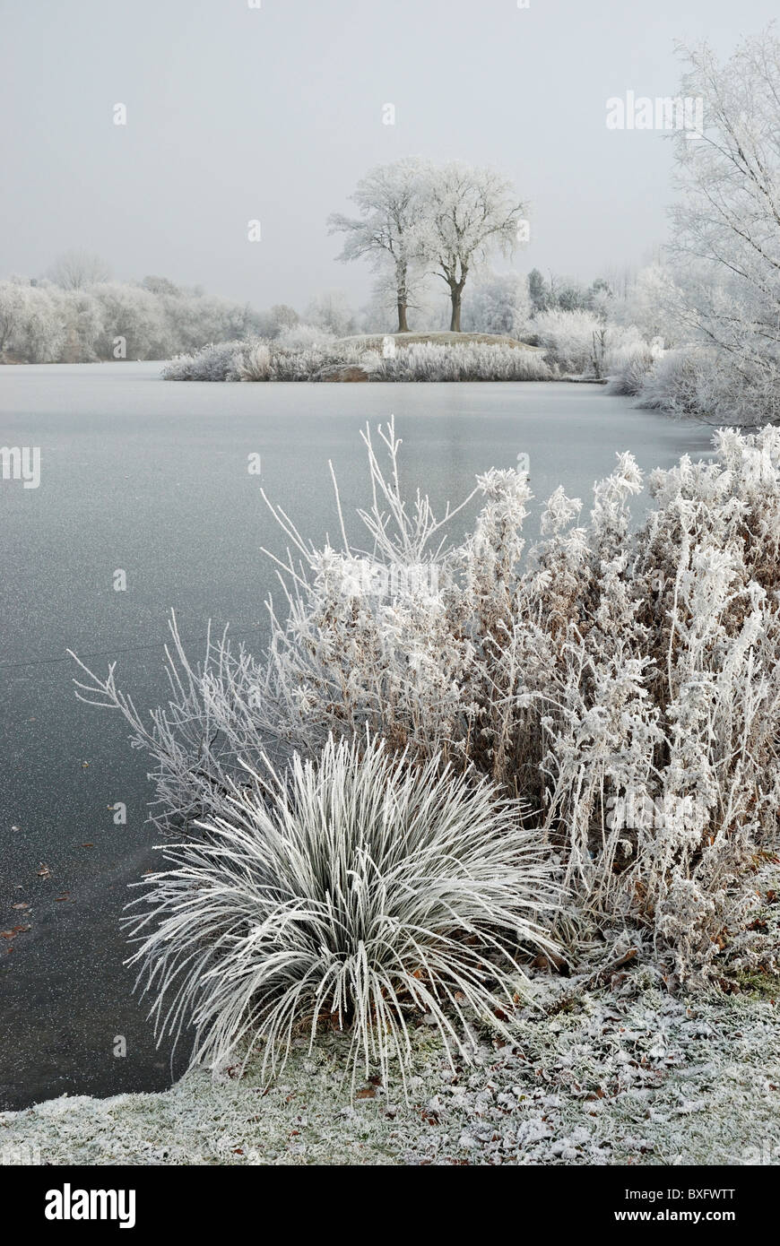 Hoar frost frozen lake hi-res stock photography and images - Alamy