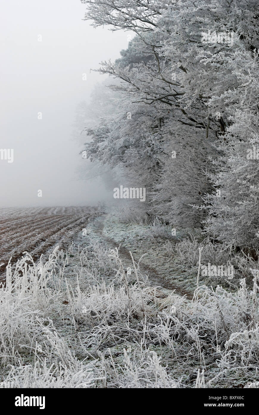 Hoar frost countryside england hi-res stock photography and images - Alamy