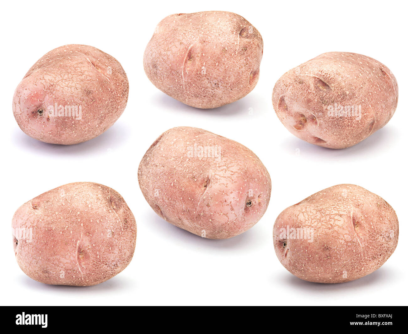 Raw brown potato isolated Cut Out Stock Images & Pictures - Alamy