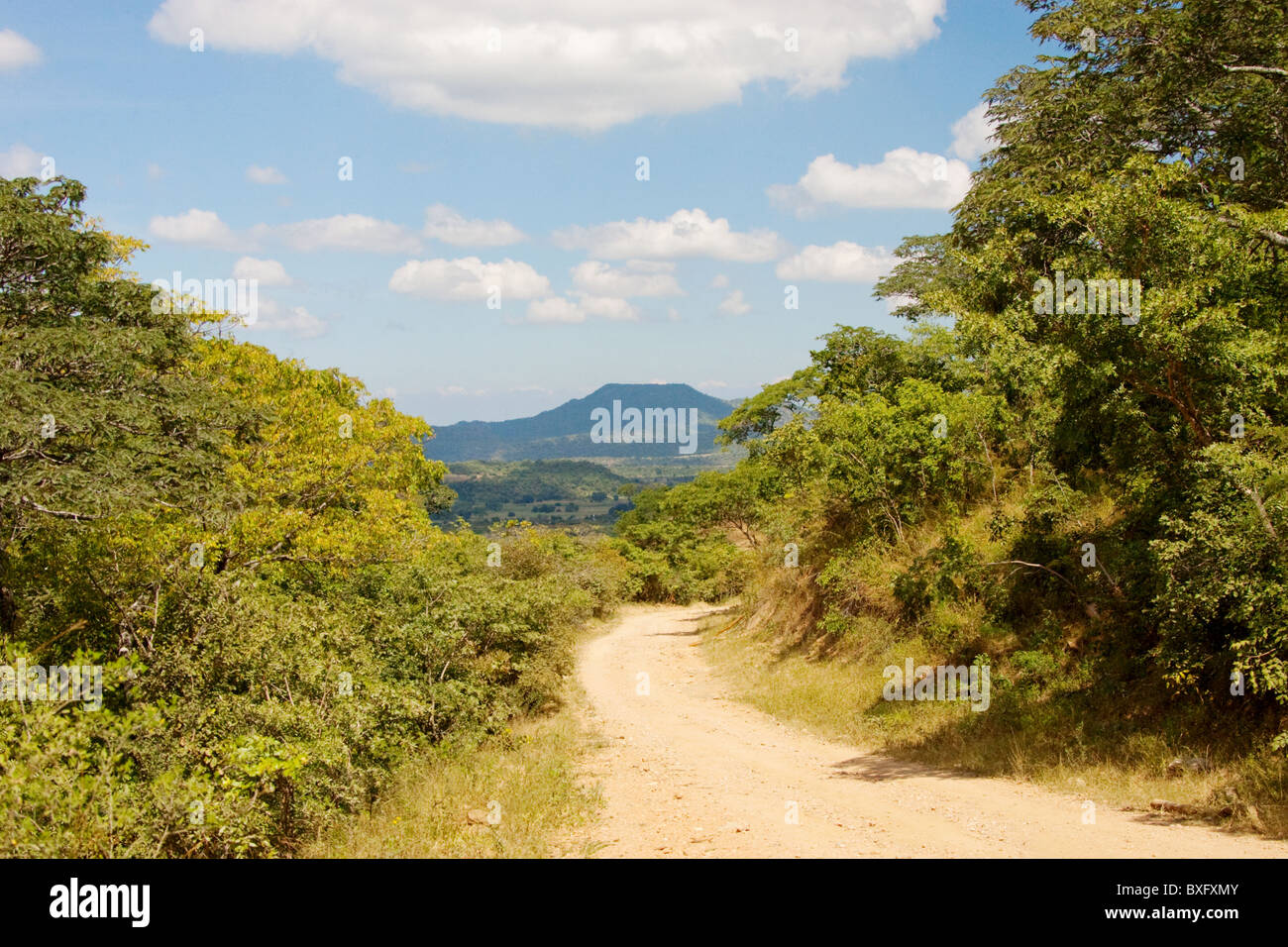 A road through the Zambian bush Stock Photo - Alamy