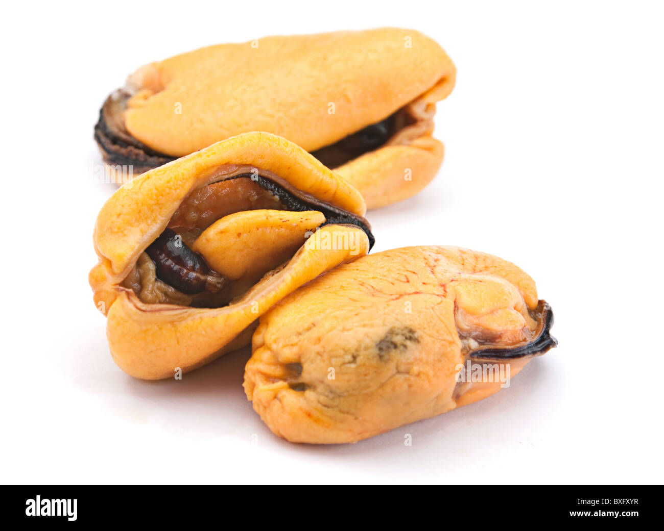 Boiled yellow mussel Stock Photo - Alamy