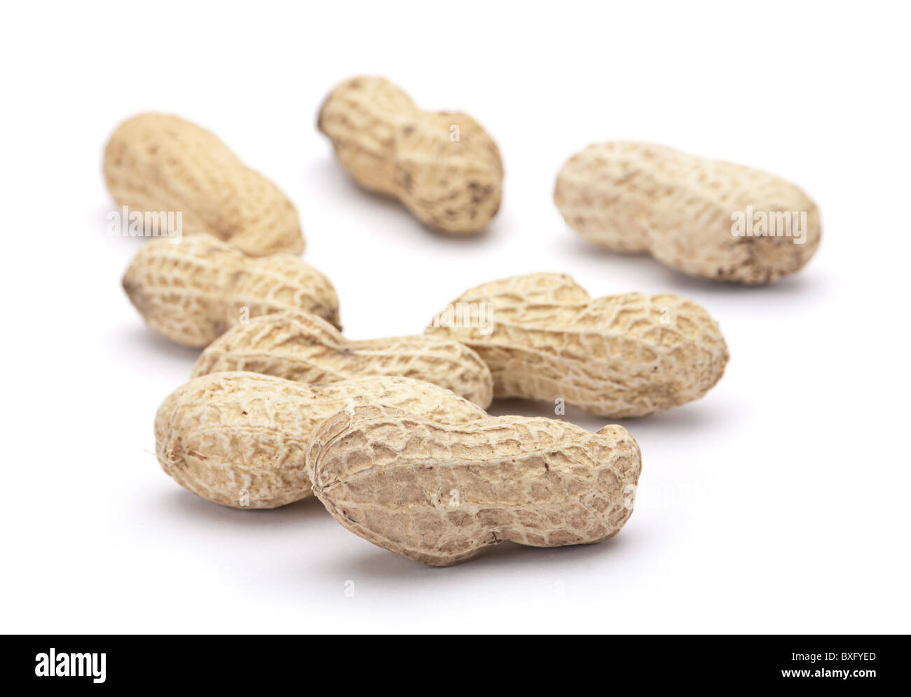 Peanut in shell Stock Photo - Alamy