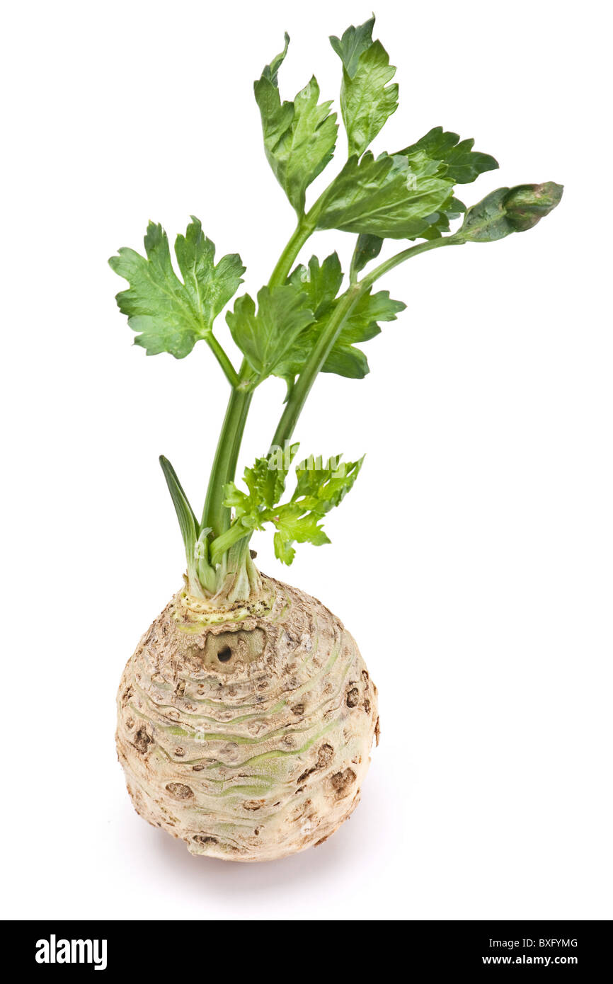 Fresh celery with root Stock Photo - Alamy