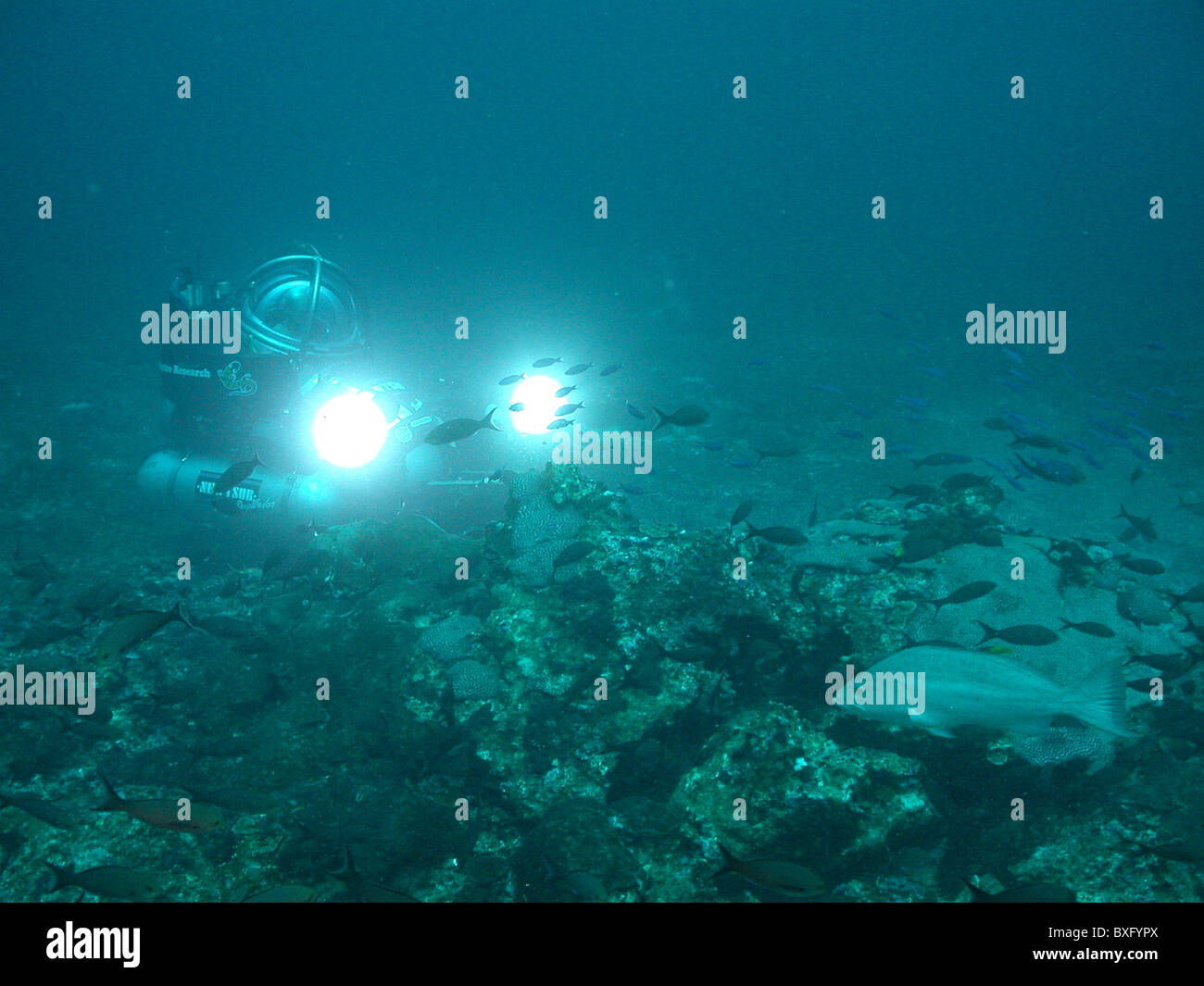 Deep Worker Submersible Exploring a Reef off the coast of Texas Stock ...
